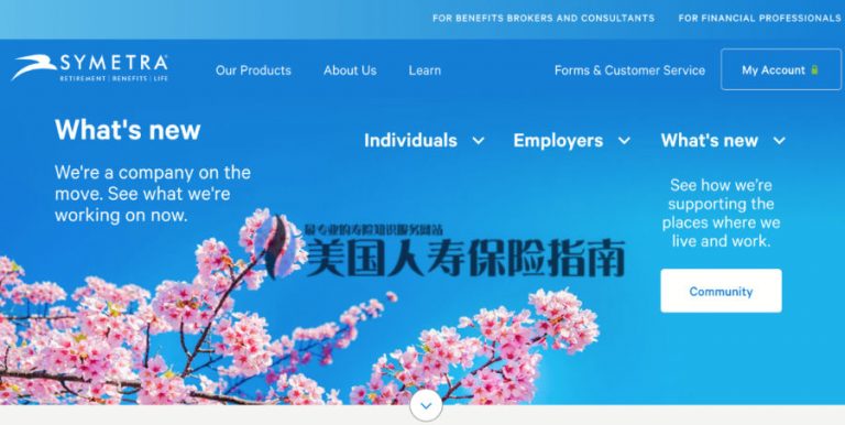 Symetra-life-insurance | 美国人寿保险指南©️ - TheLifeTank.com